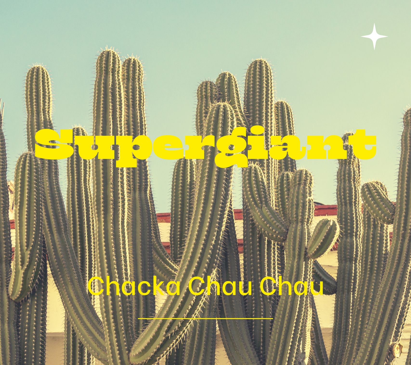 Supergiant album release party - Band on the Wall